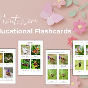 Butterfly Life Cycle Montessori Printables – Homeschool Nature Study ...