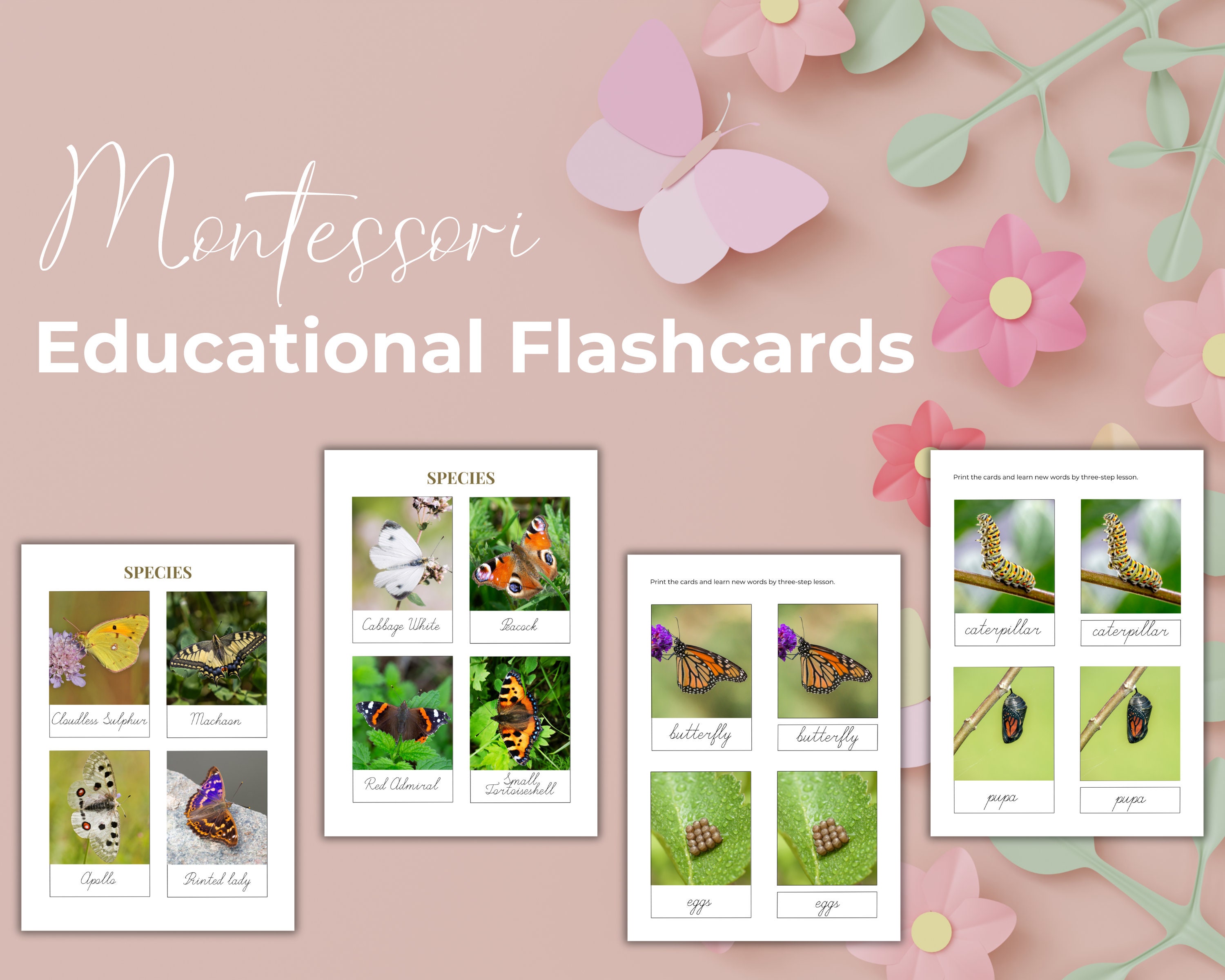 Butterfly Unit Study Life Cycle Worksheets Activity Pack Montessori ...