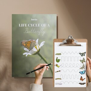 Butterfly Unit Study Life Cycle Homeschool Printables Worksheets ...