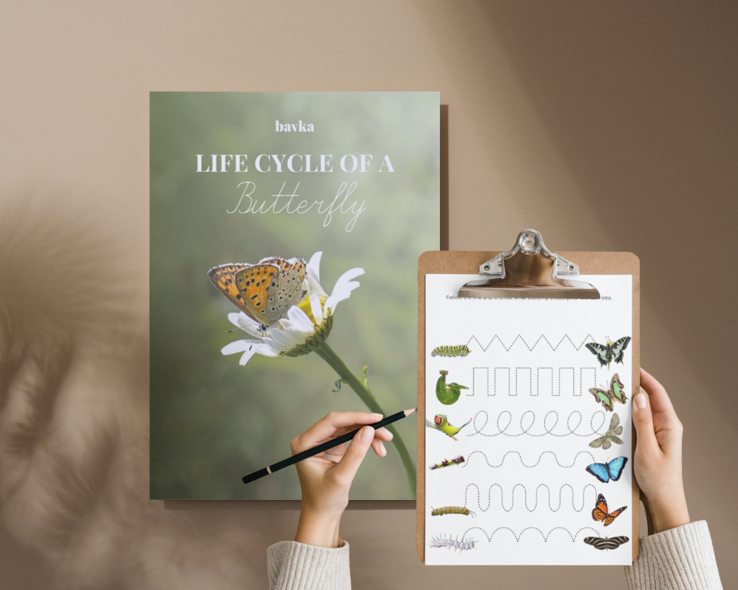 Butterfly Unit Study Life Cycle Homeschool Printables Worksheets ...