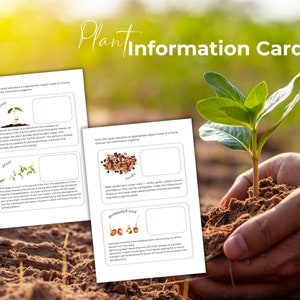 Plant Unit Study Printable Flashcards Life Cycle Pack Nature Study ...