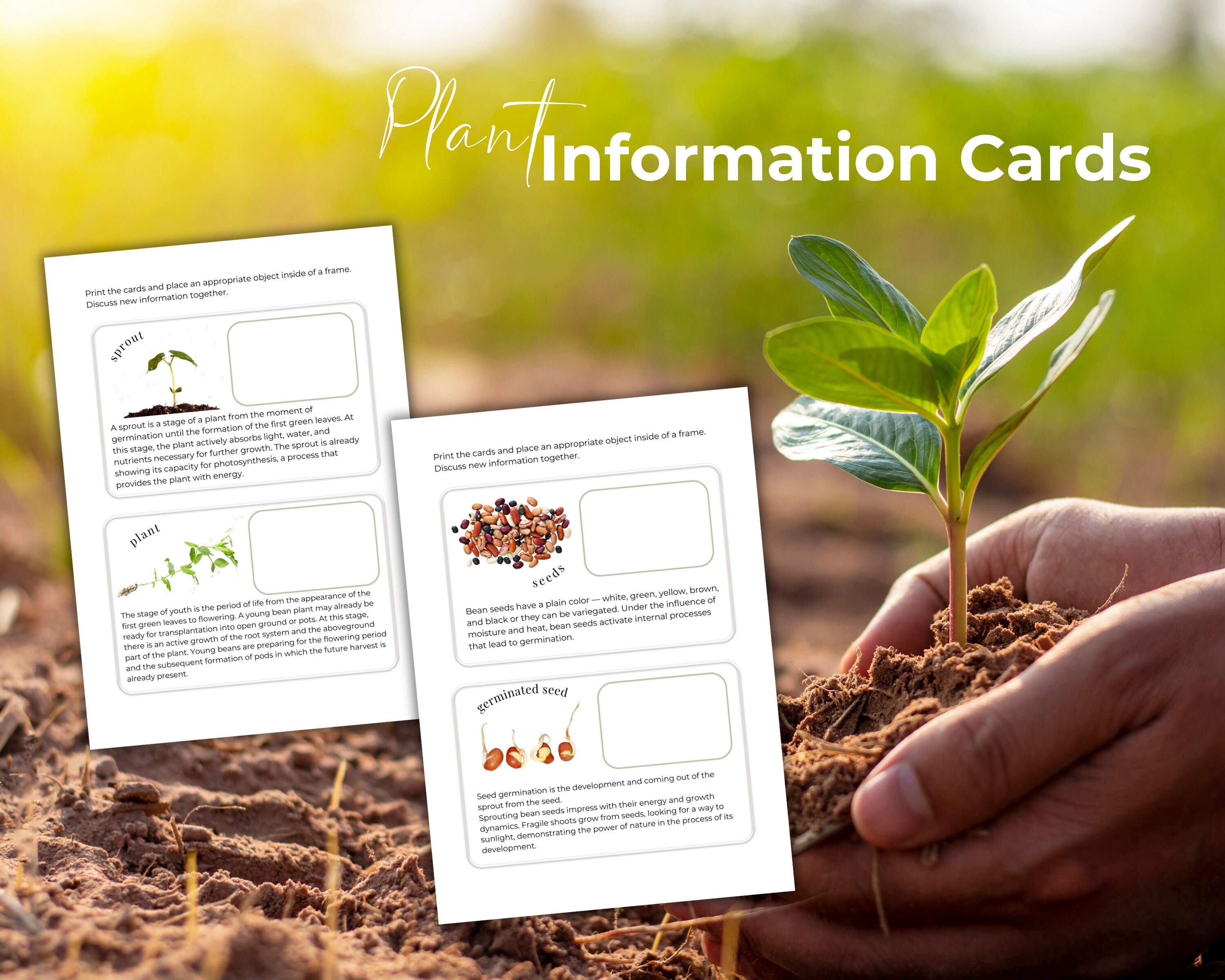 Plant Unit Study Printable Flashcards Life Cycle Pack Nature Study ...