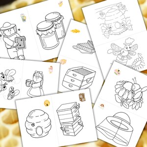 Bee Unit Study Printable Flashcards Life Cycle Pack Nature Study ...