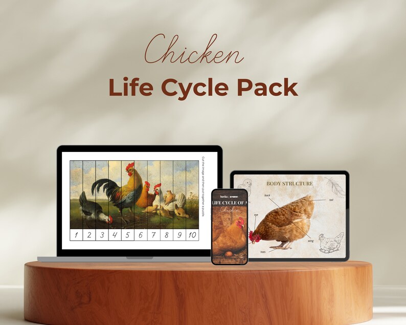 Chicken Life Cycle Printable | Montessori Farm Unit | Animal Science ...