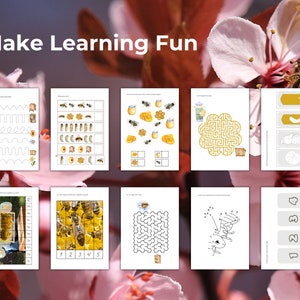 Bee Unit Study Printable Flashcards Life Cycle Pack Nature Study ...