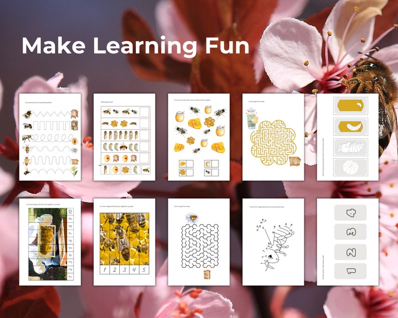 Bee Unit Study Printable Flashcards Life Cycle Pack Nature Study ...