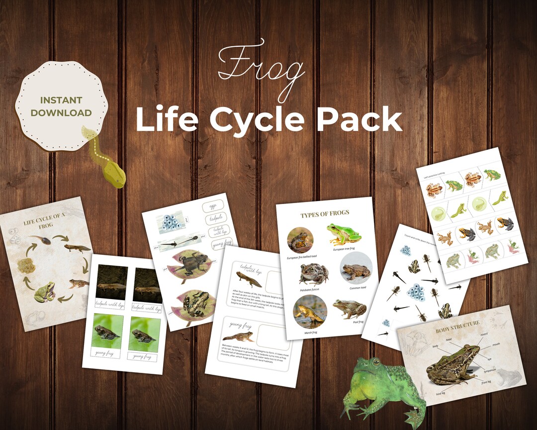 Frog Unit Study Printable Flashcards Life Cycle Pack Nature Study ...