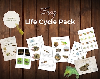 Frog Life Cycle Unit Study | Metamorphosis Learning Pack | Pond Animals ...