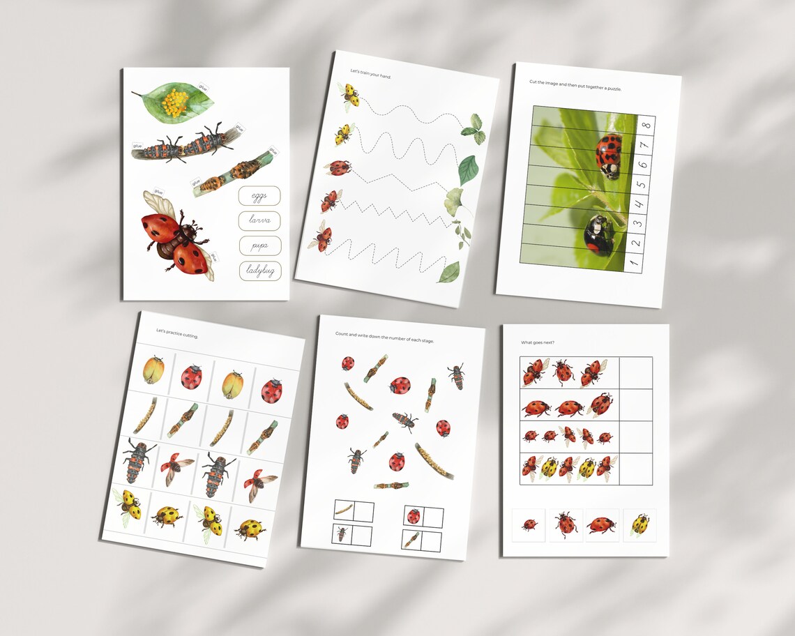 Ladybug Life Cycle Unit Study | Insect Learning Pack | Montessori ...