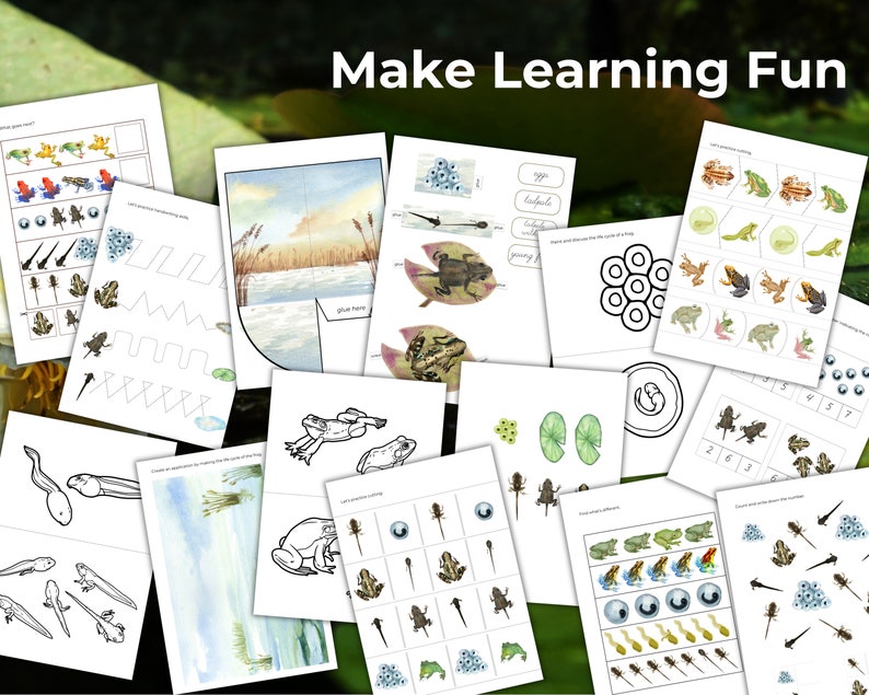 Frog Life Cycle Unit Study, Pond Animals Metamorphosis, Summer Science ...