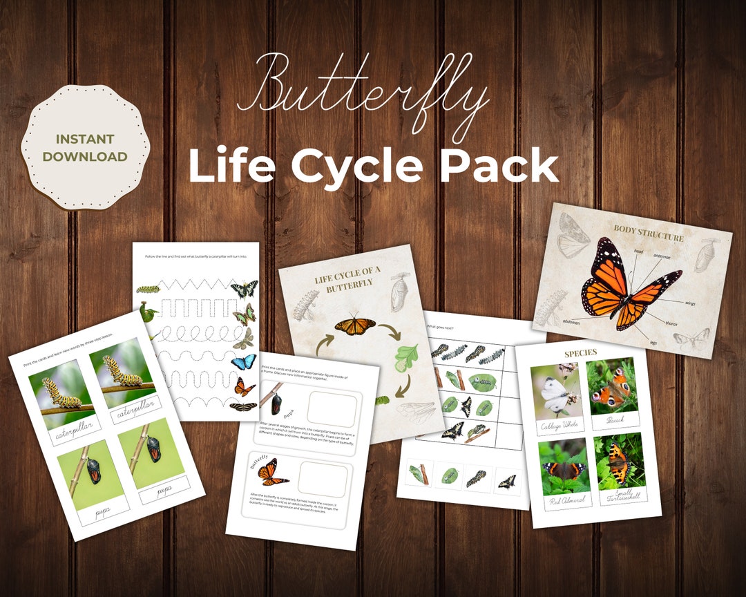 Butterfly Unit Study Life Cycle Homeschool Printables Worksheets ...