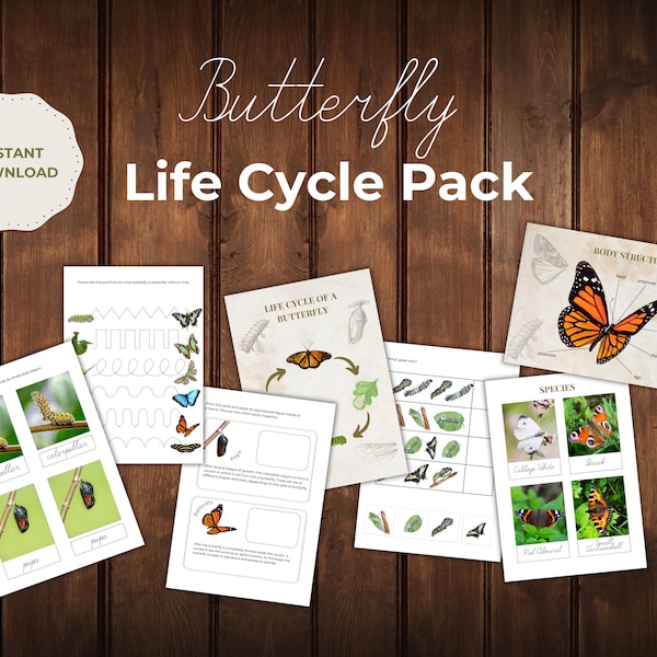 Butterfly Life Cycle - Etsy