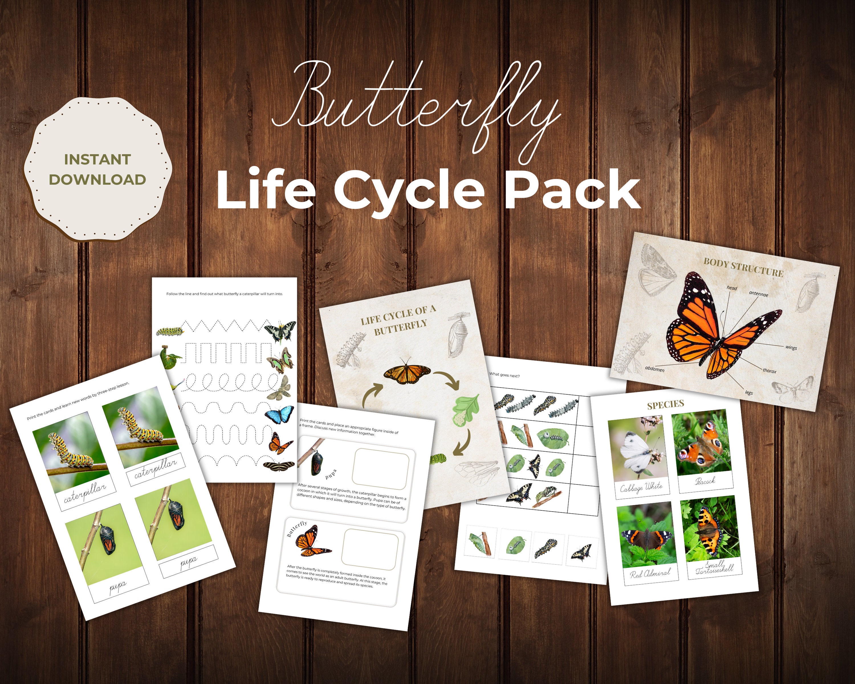 Butterfly Unit Study Life Cycle Homeschool Printables Worksheets ...