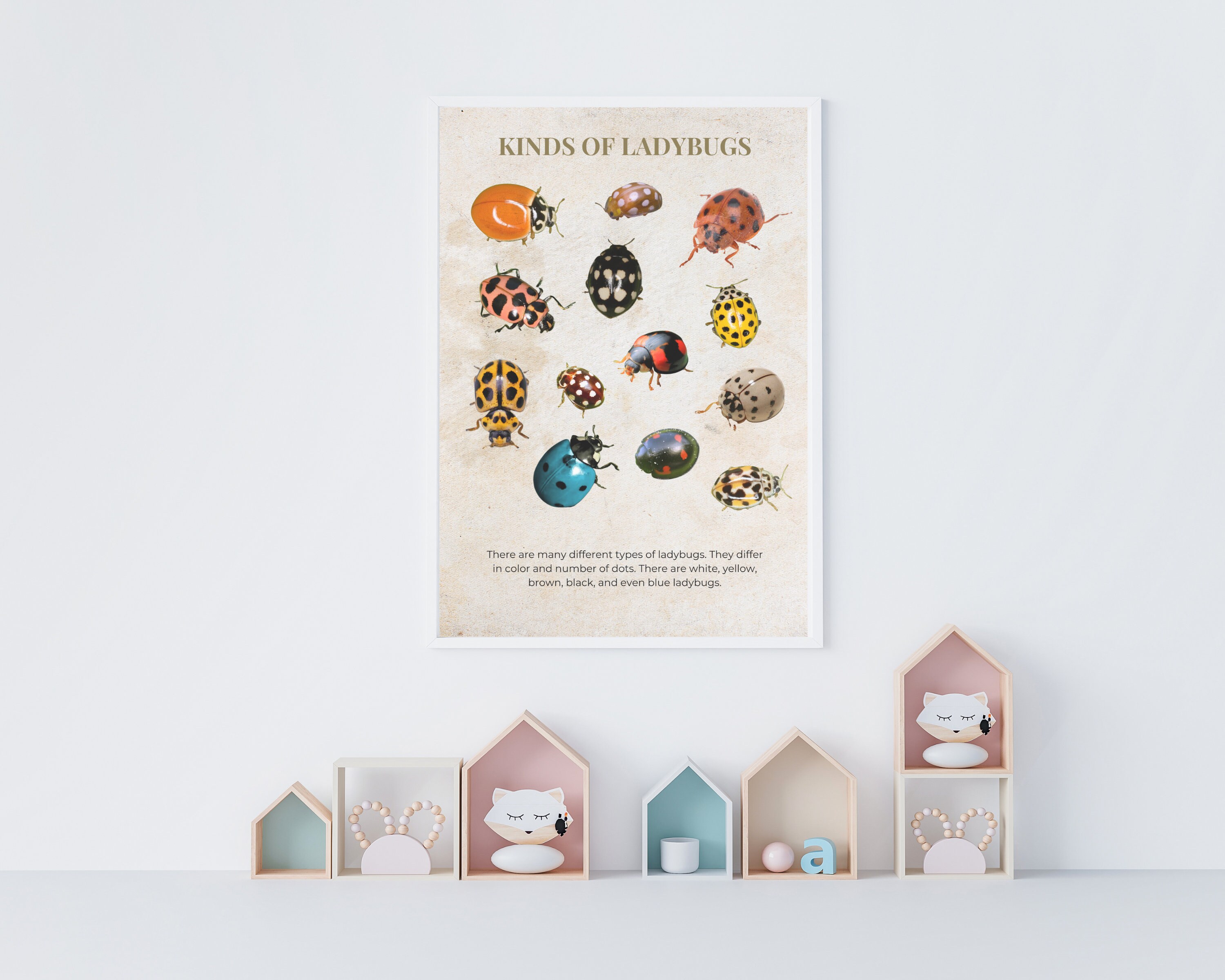 Ladybug Life Cycle Unit Study | Insect Learning Pack | Montessori ...