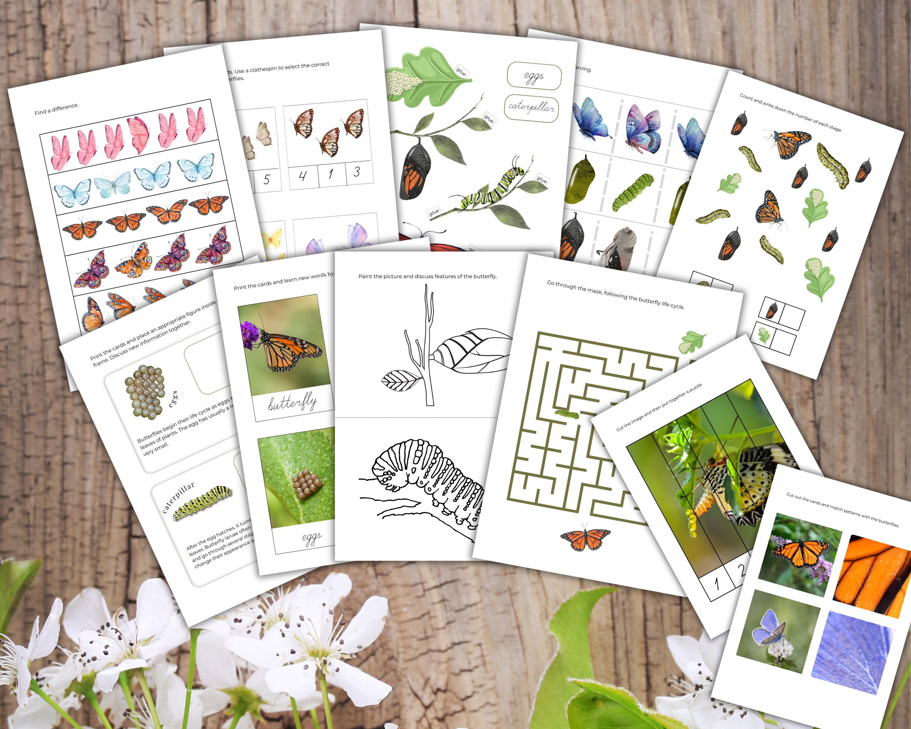 Butterfly Unit Study Life Cycle Homeschool Printables Worksheets ...