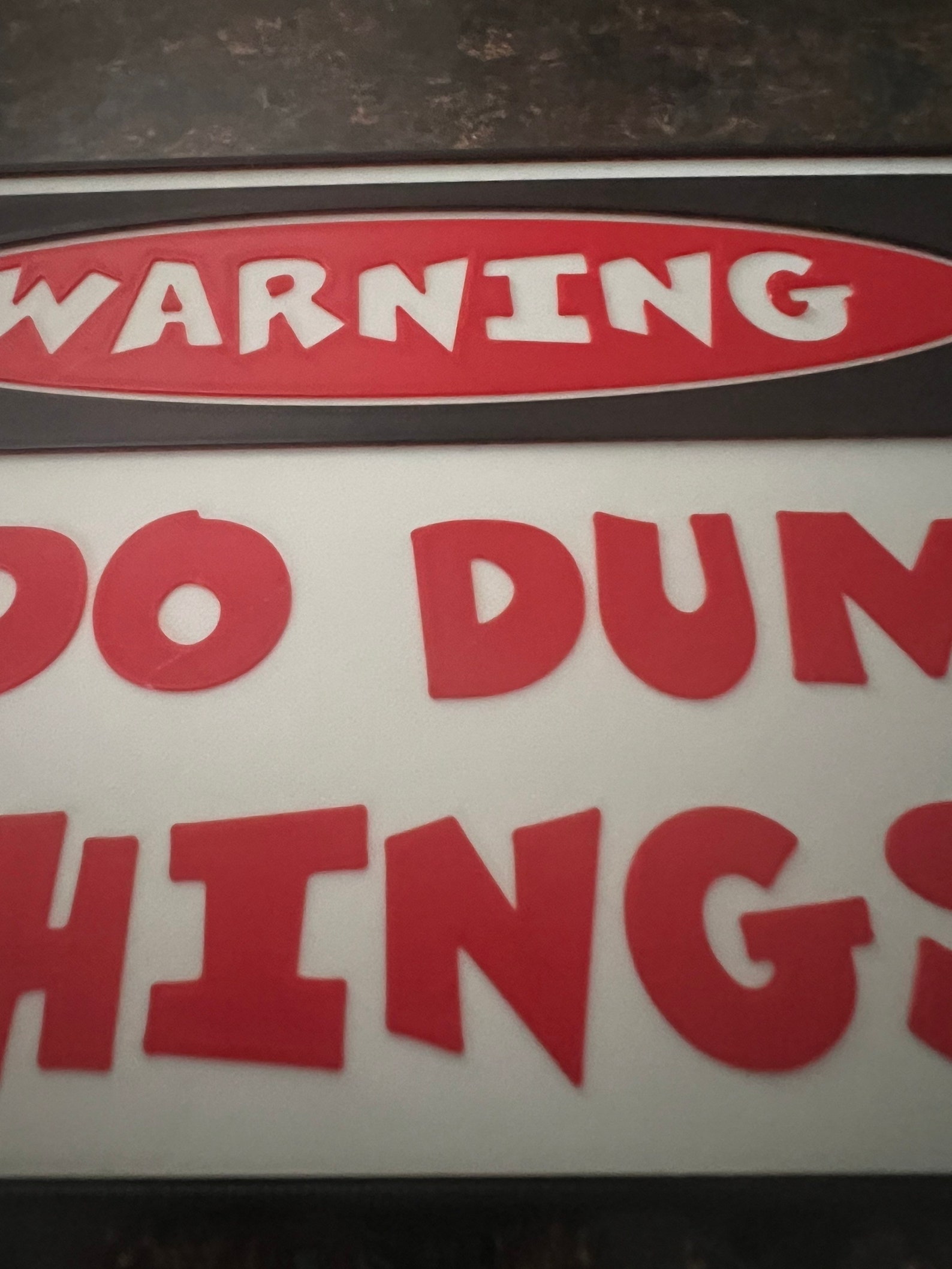3D Printed Warning Sign I Do Dumb Things Duh - Etsy