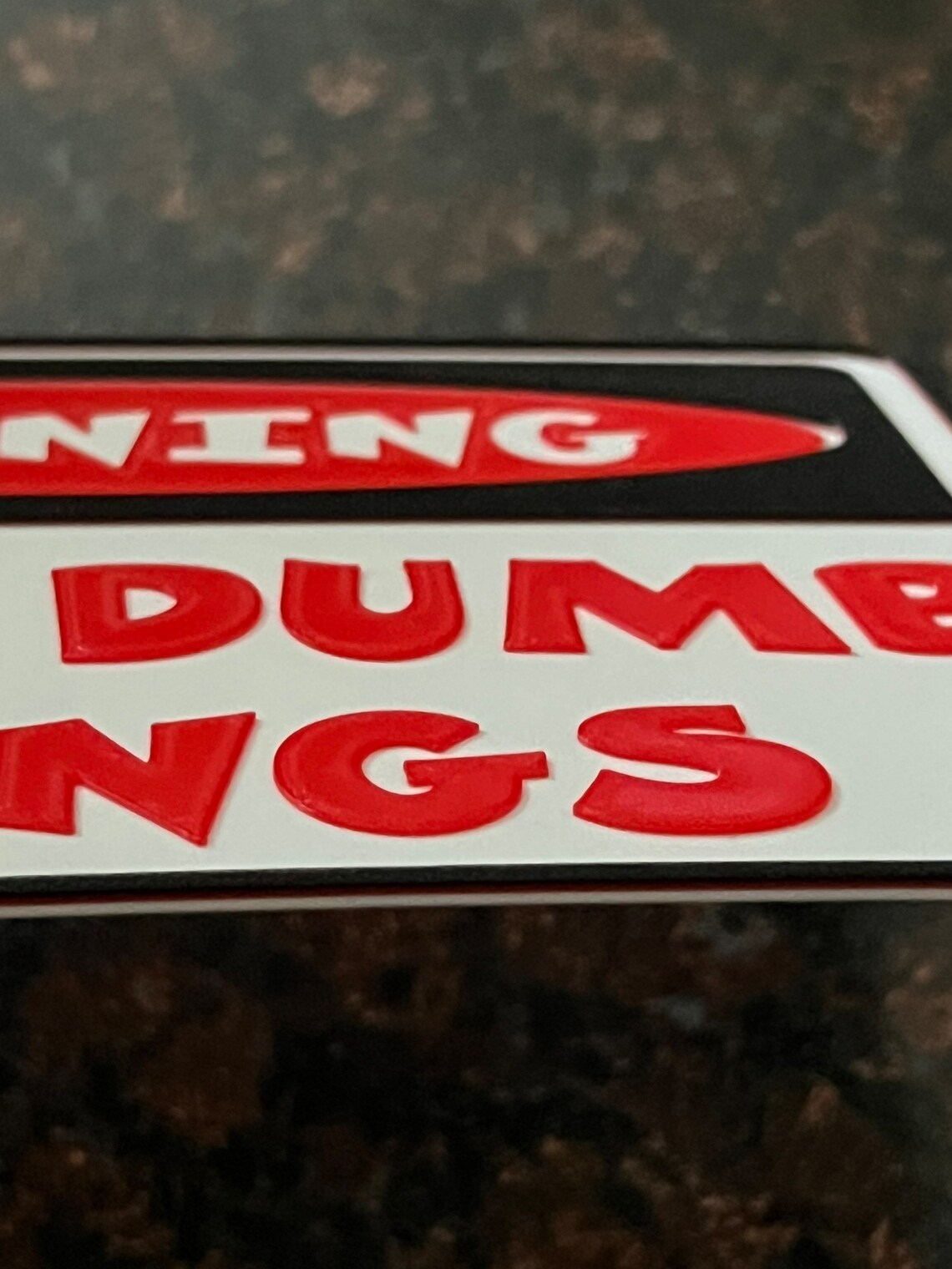 3D Printed Warning Sign I Do Dumb Things Duh - Etsy