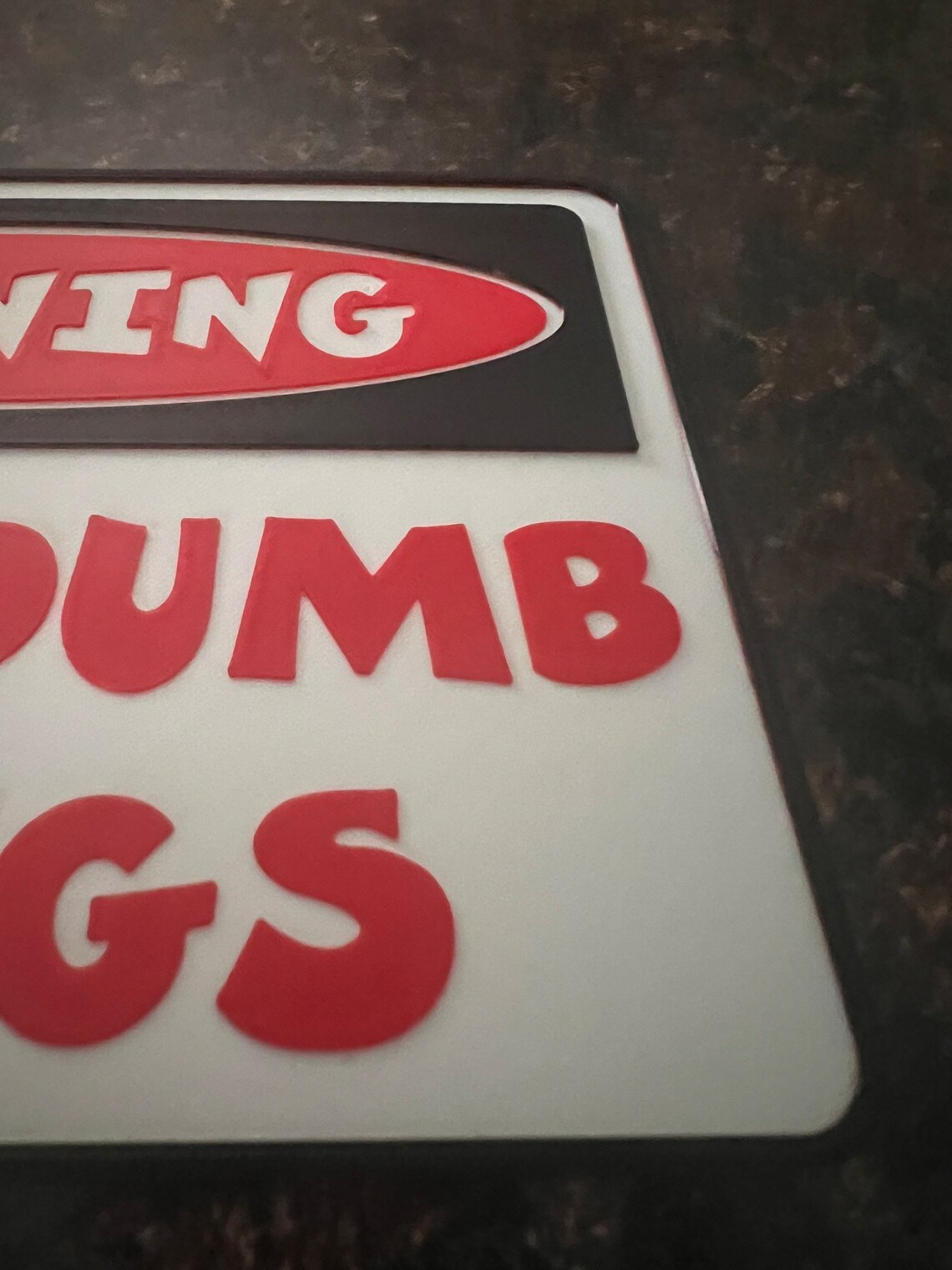 3D Printed Warning Sign I Do Dumb Things Duh - Etsy