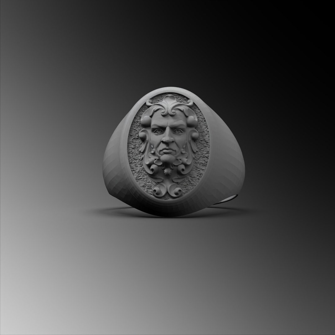 Druid Silver Signet Ring, Oxidized Greenman Ring for Man, Mythology ...