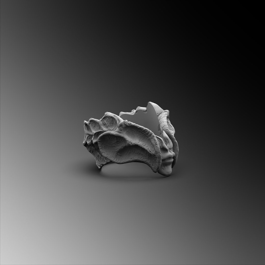 Silver Gothic Biker Ring Devil Satan Rings for Man Alien Woman Face ...