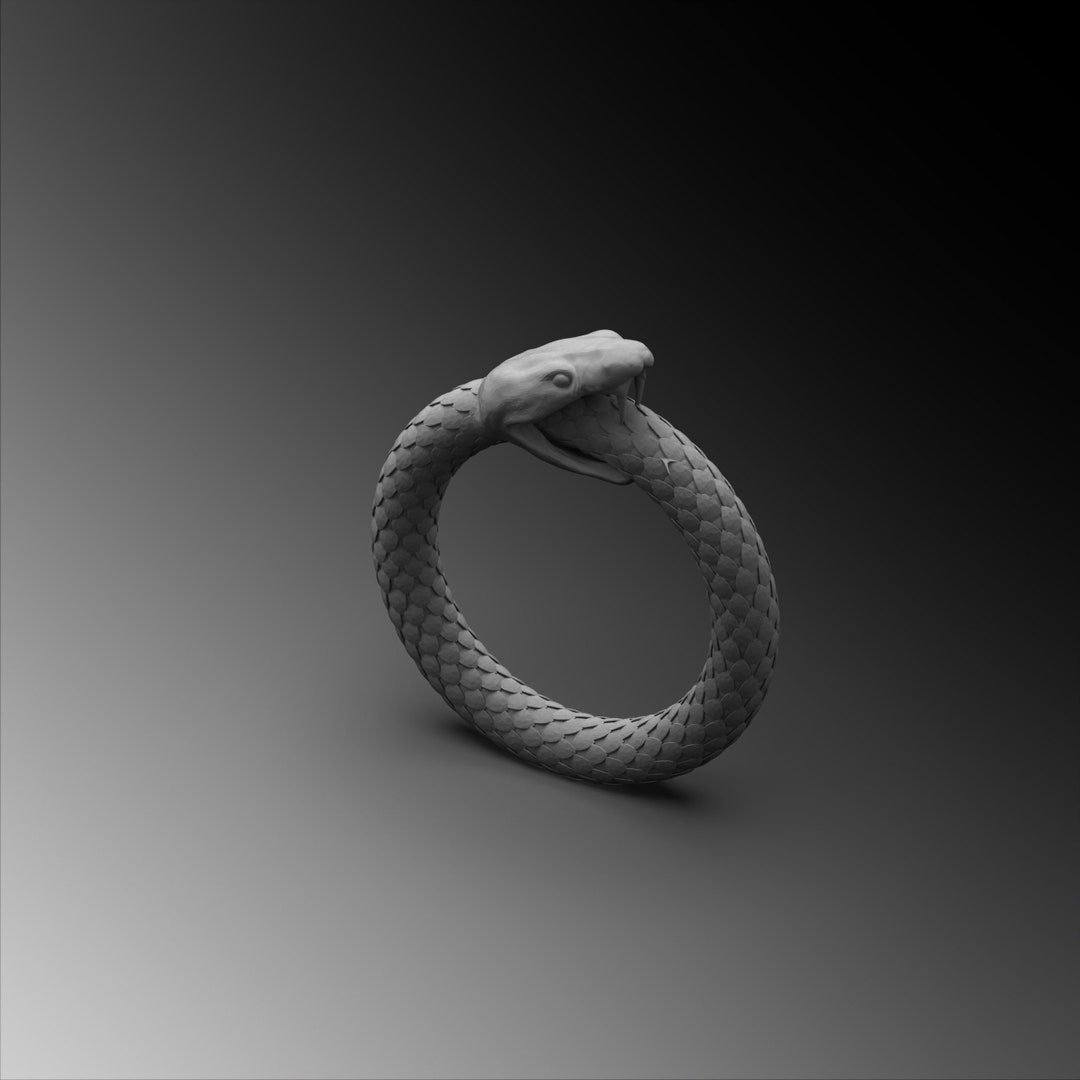 Silver Snake Ring Ouroboros Snake Ring 925k Serpent Rings for Man ...