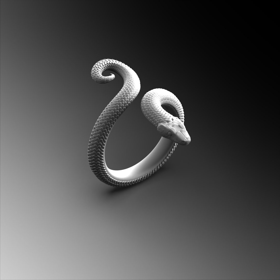 Snake Handmade Sterling Silver Men Ring, Serpent Unique Animal Ring ...