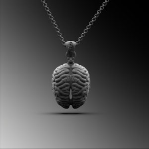 Silver Human Brain Pendant - Sterling Anatomical Brain Pendant - Doctor ...