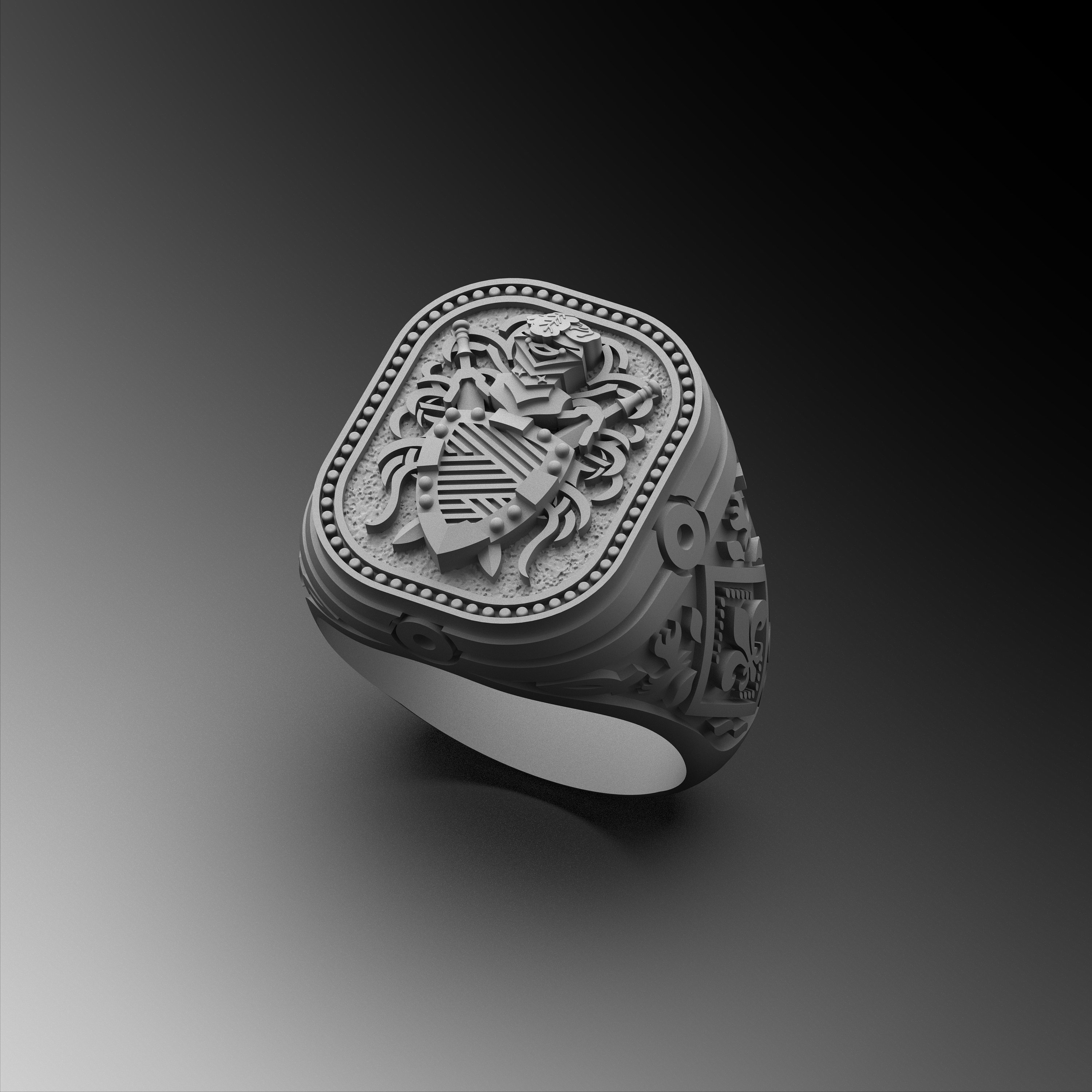 Escudo familiar y escudo de armas Anillo de sello Anillos de - Etsy México