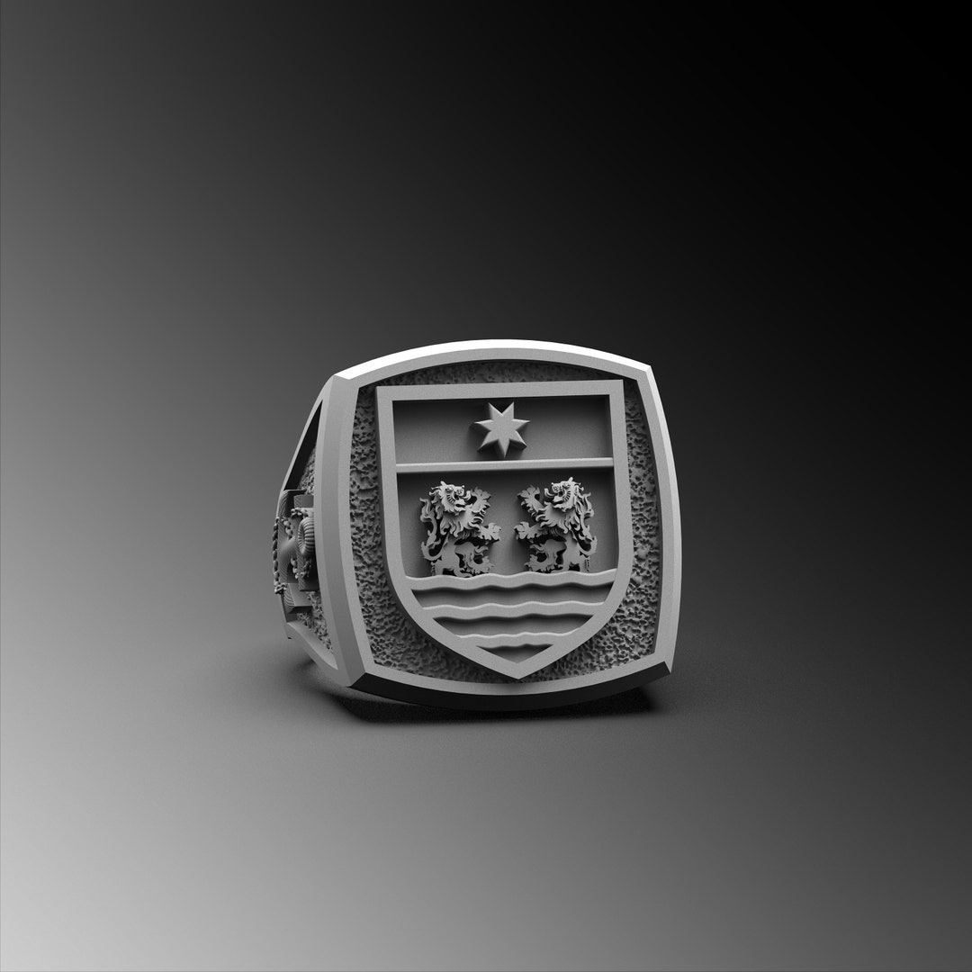 Family Crest & Coat of Arms Signet Ring, Custom Silver Rings for Men ...
