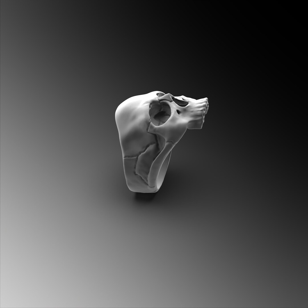 Mens Skull Ring Silver Signet Skul Rings for Man Skull Silver Ring Man ...