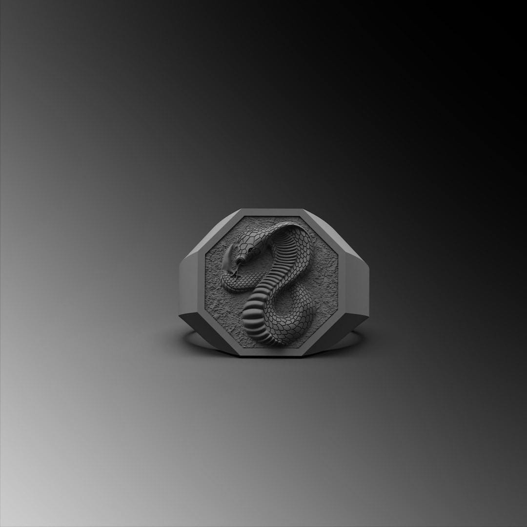 Mens Cobra Ring Silver Snake Signet Rings for Man Serpent Silver Ring Silver Cobra Unique Rings ...