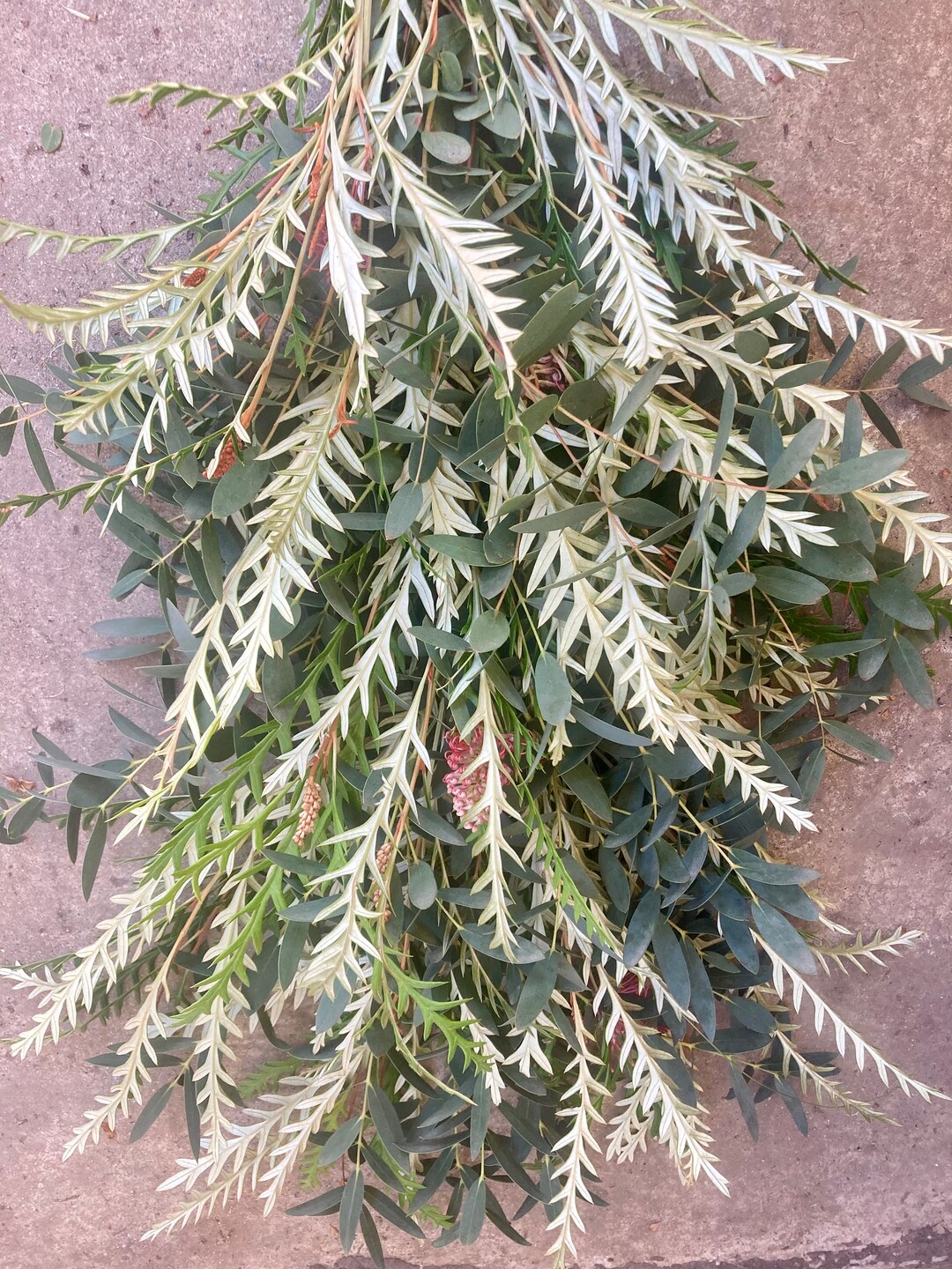 Fresh Grevillea Gunni Garland, Real Greenery Garland, Weddding Garland ...