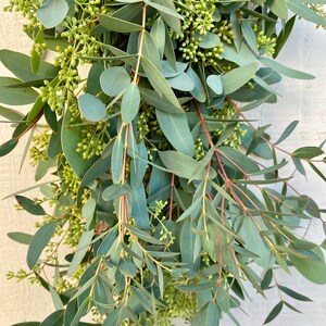 Fresh Seeded Eucalyptus Gunni Garland, Real Greenery Garland ...