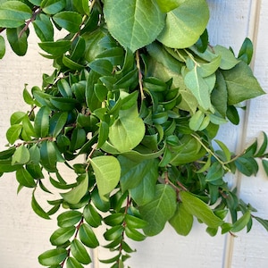 Fresh Huckleberry Salal Garland, Wedding Garland, Real Greenery Garland ...