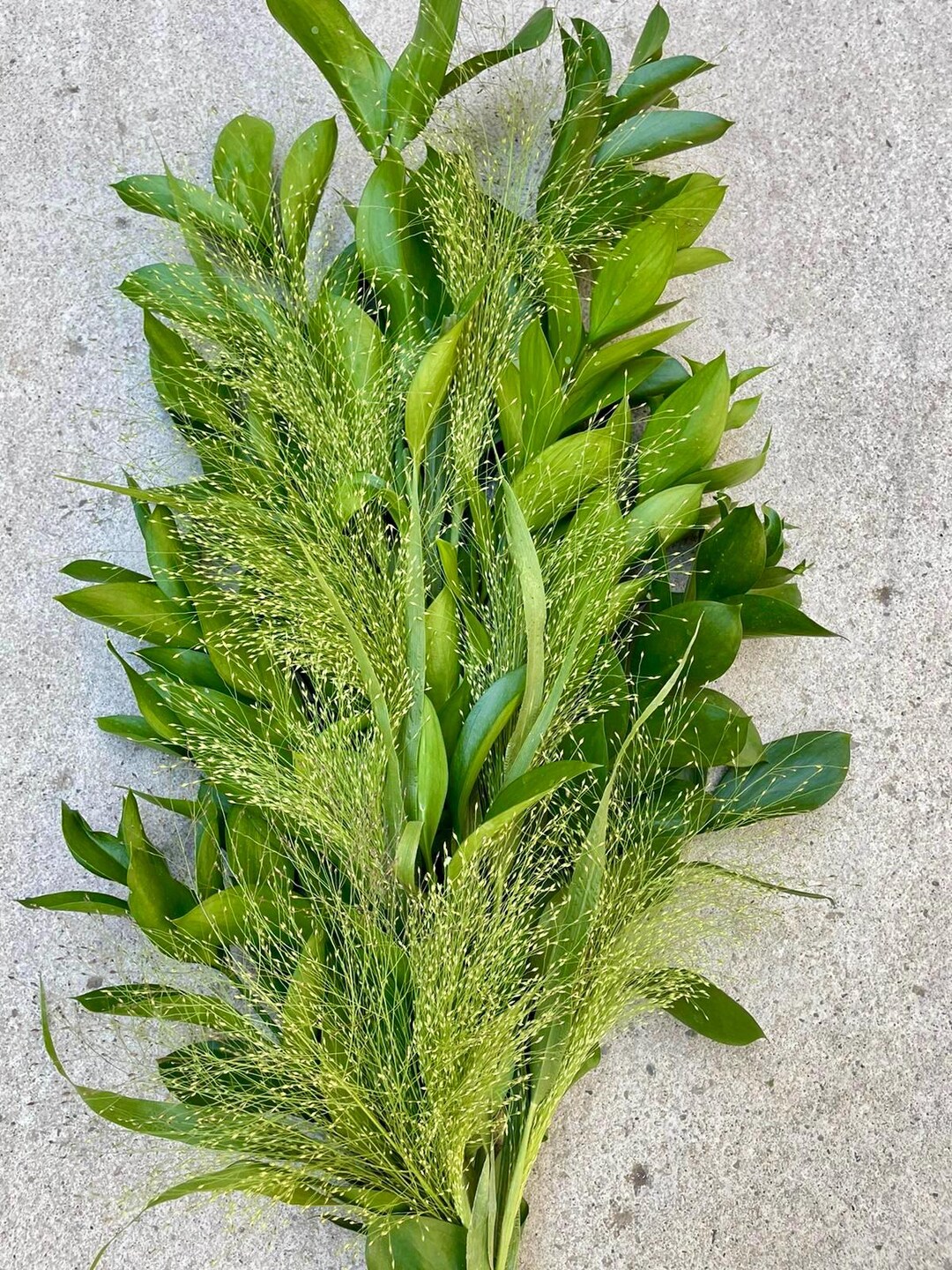 Fresh Grass Explosion Israeli Ruscus Garland, Holiday Garland ...