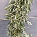 Fresh Babys Breath Seeded Gunni Garland, Wedding Garland, Real Greenery ...