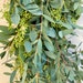 Fresh Seeded Eucalyptus Gunni Garland, Real Greenery Garland ...