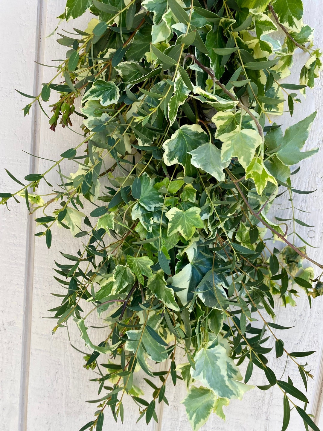 Fresh Gunni Bush Ivy Garland, Real Greenery Garland, Wedding Garland ...