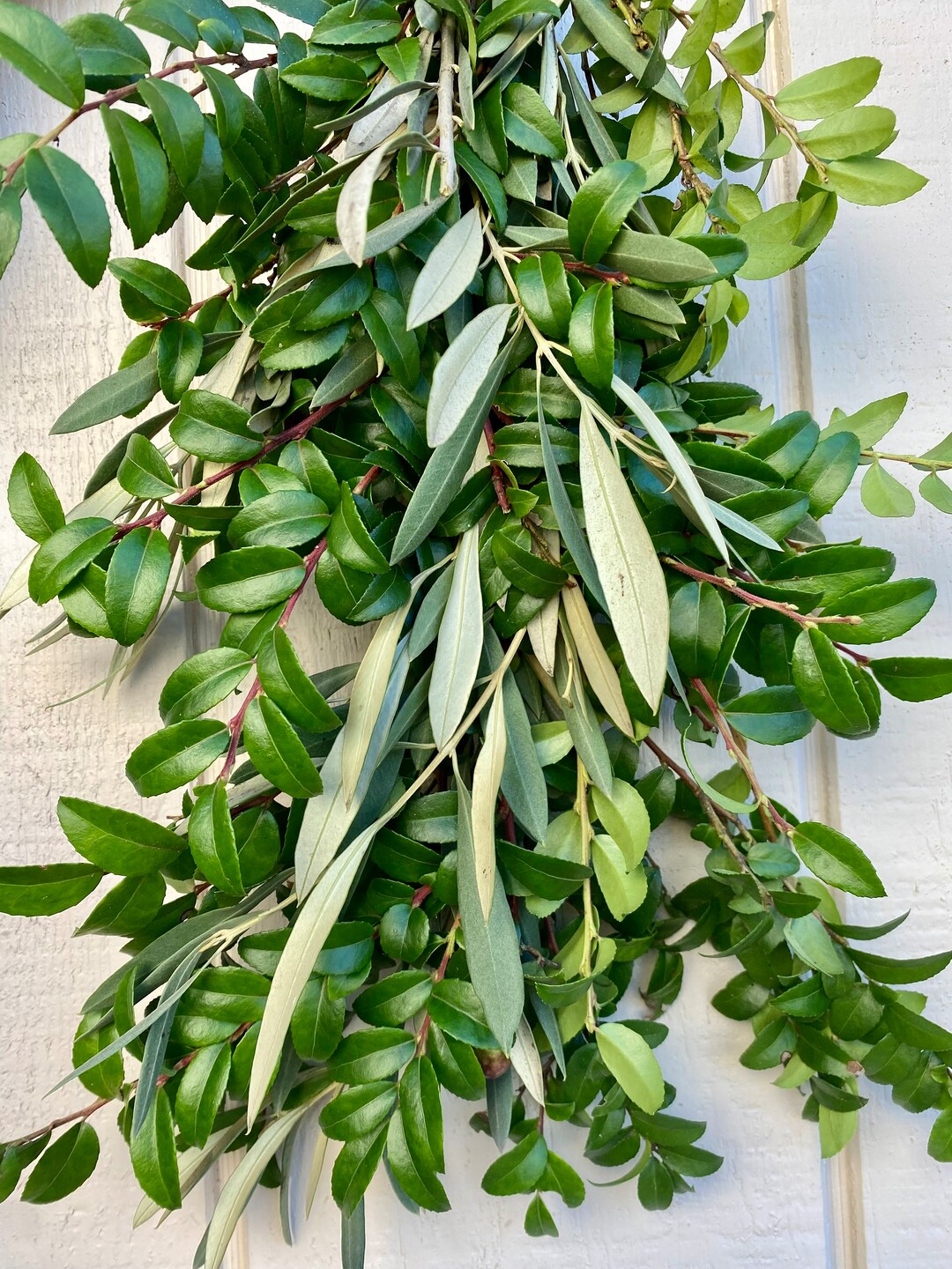 Fresh Huckleberry Olive Garland, Wedding Garland, Christmas Garland ...