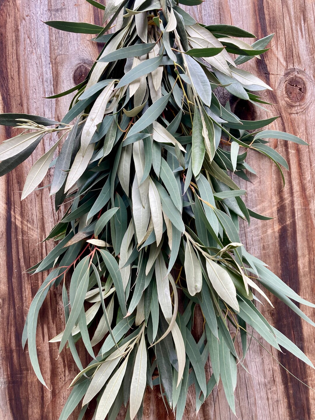 Fresh Willow and Olive Garland, Real Greenery Garland, Christmas ...