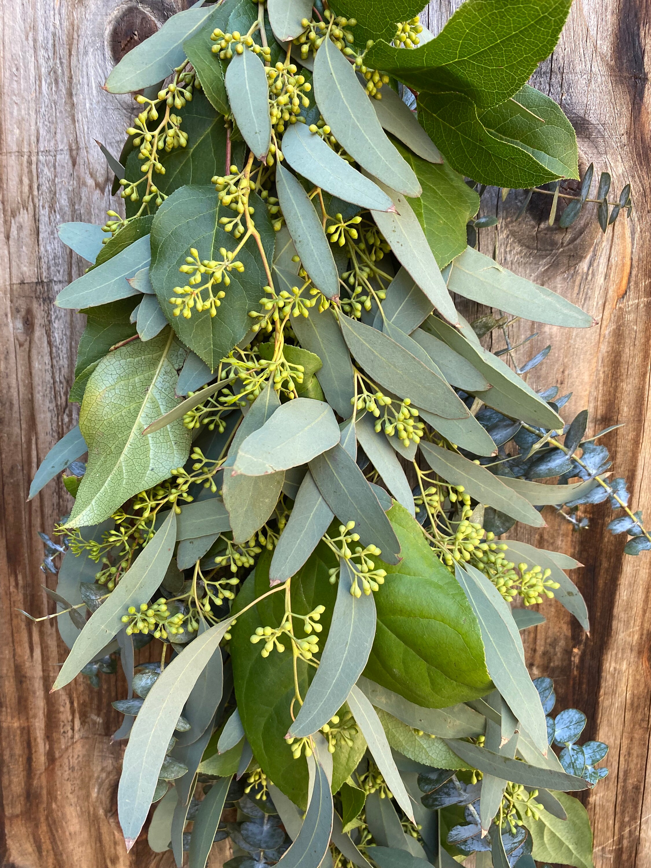 Fresh Salal Eucalyptus Seeded Baby Blue Garland Greenery - Etsy
