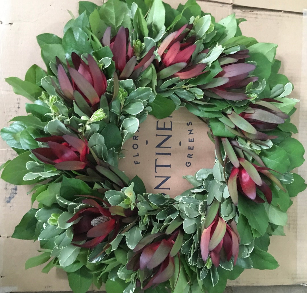 Fresh Safari Sunset Pitt Variegated Salal Wreath, Housewarming Gift ...