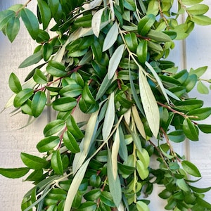 Fresh Huckleberry Olive Garland, Wedding Garland, Christmas Garland ...