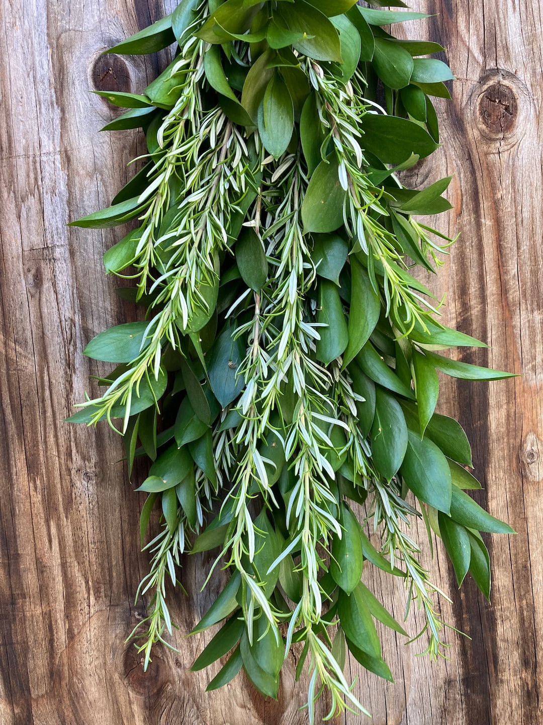 Fresh Israeli Ruscus Rosemary Garland, Real Greenery Garland, Wedding ...