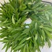 Fresh Babys Breath Seeded Gunni Garland, Wedding Garland, Real Greenery ...