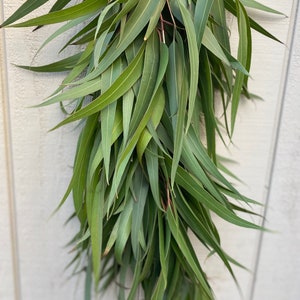 Fresh Willow Garland, Real Greenery Garland, Aisle Runner, Home Decor ...