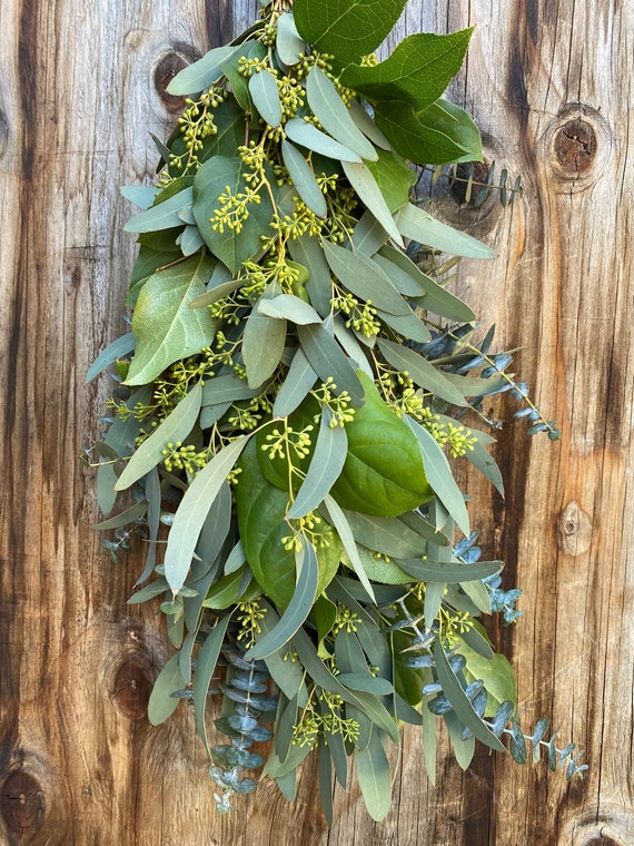 Fresh Salal Eucalyptus Seeded Baby Blue Garland Greenery - Etsy