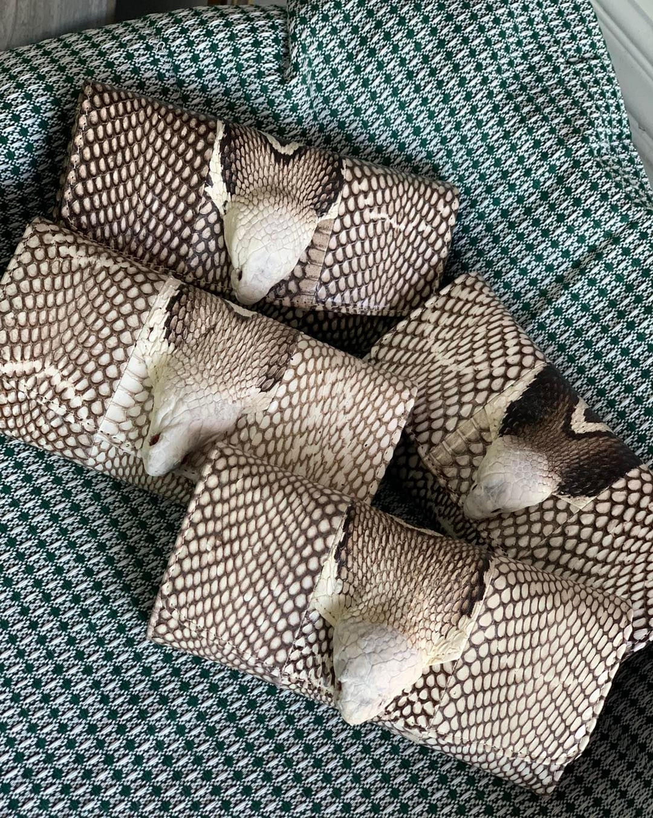 Gray Exotic Genuine Python Wallet Snake Skin Wallet Genuine Python ...