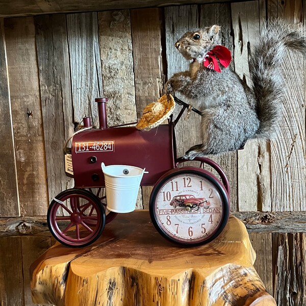Squirrel Clock - Etsy