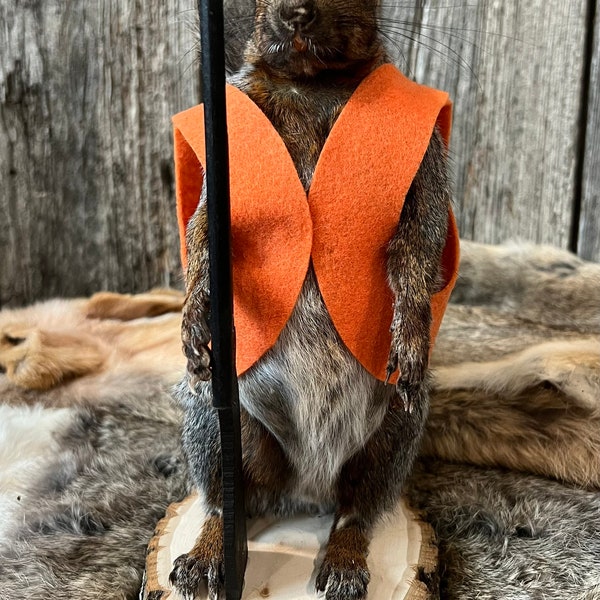 Squirrel Middle Finger - Etsy